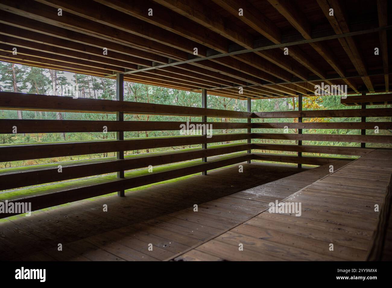 the bird watching shelter inside, concept of nature reserve activity ...