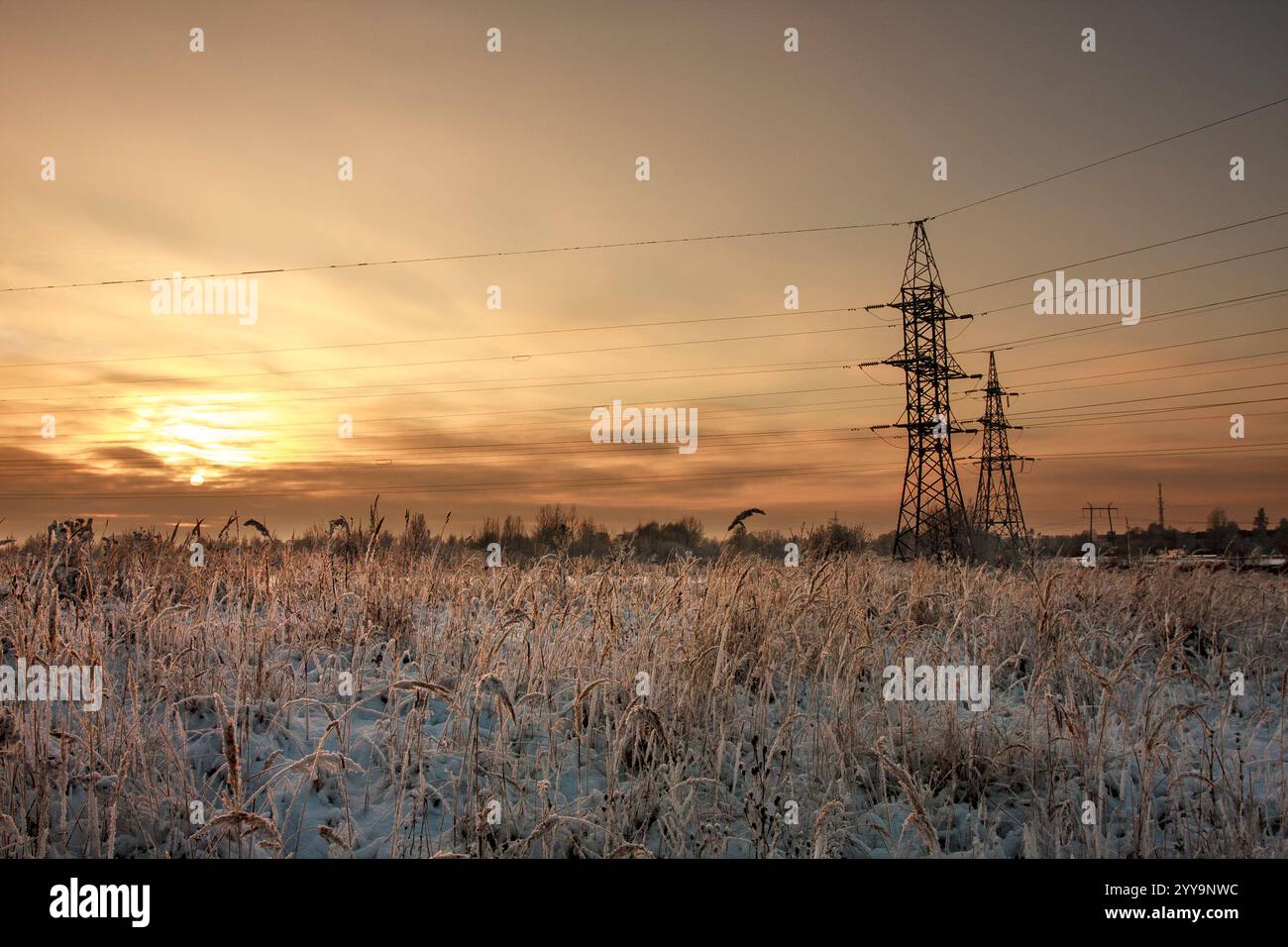 A serene winter landscape featuring a frosty field at sunrise, marked ...