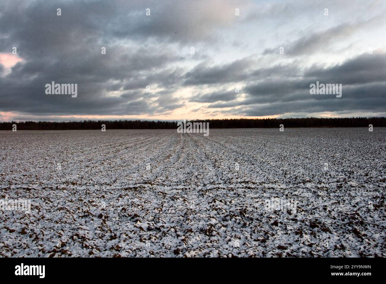 Snow-covered farmland stretching across the horizon with low light of ...
