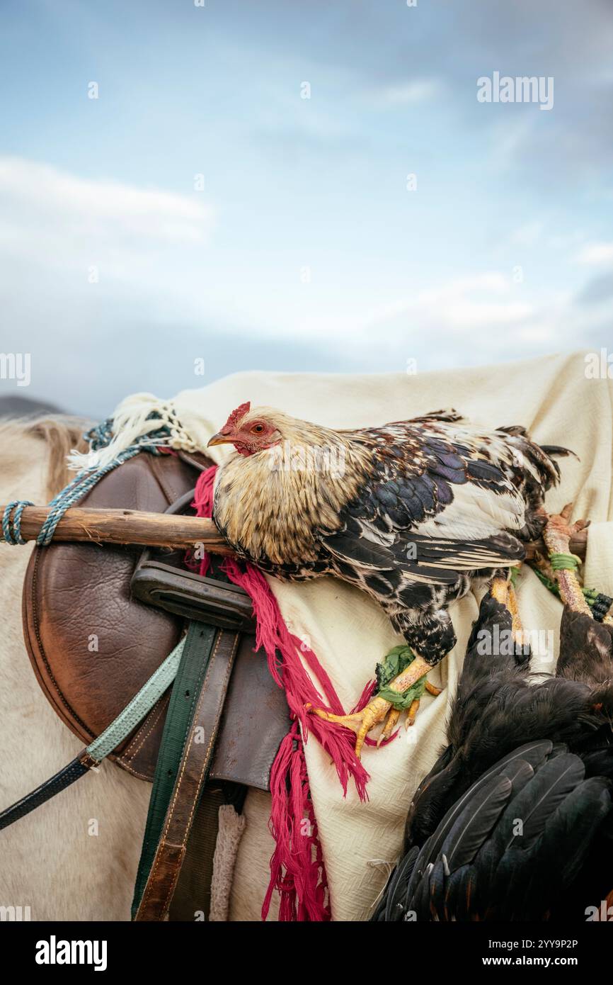 Festival of Light (Inti raymi festival) Cochas Community, Angochagua ...