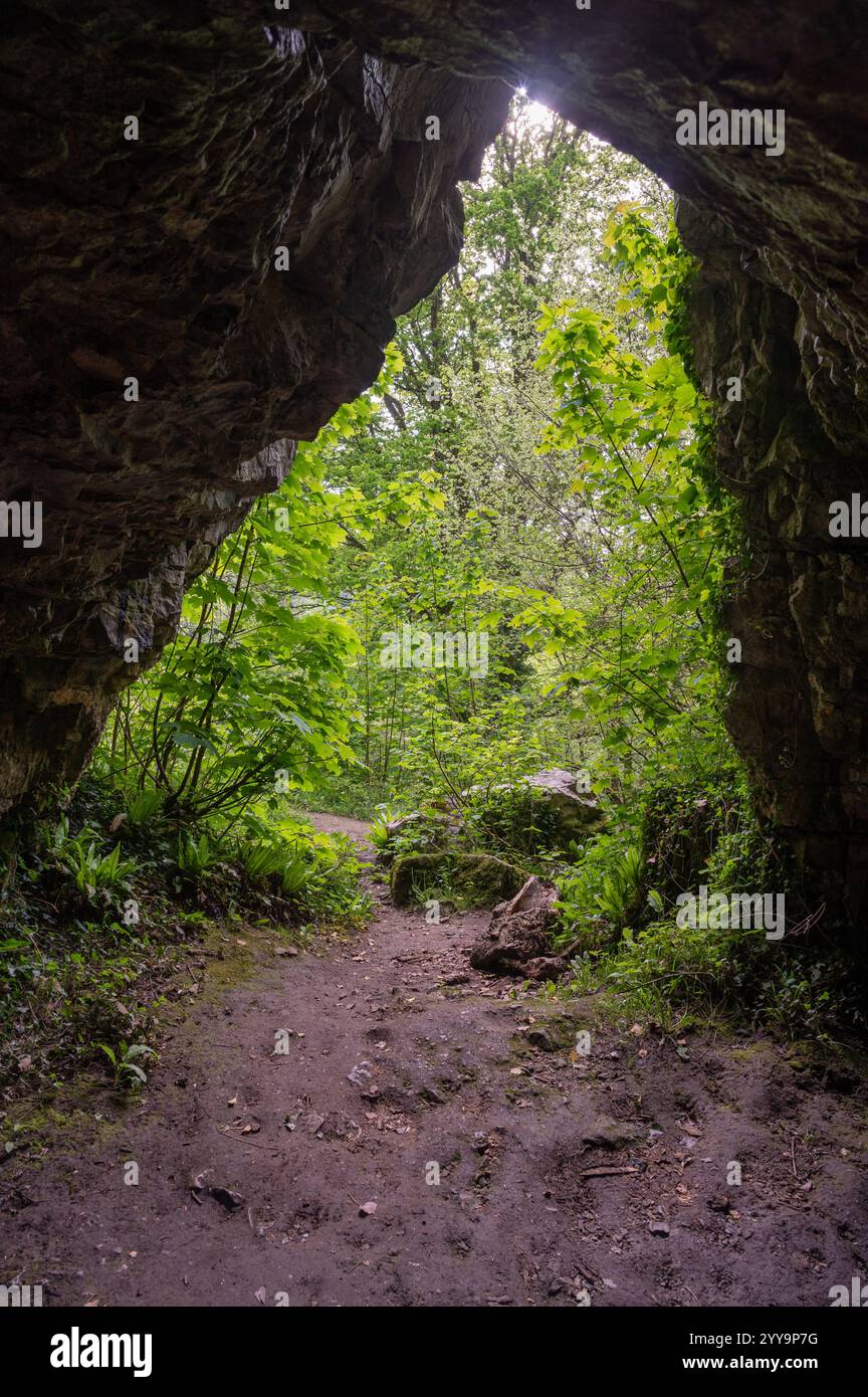 Looking out of the cave tot he left of Cathole-rock cave, Gower, Wales ...