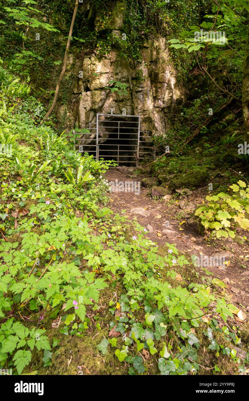 Metal grill preventing access to Cathole-rock cave to prevent vandalism ...