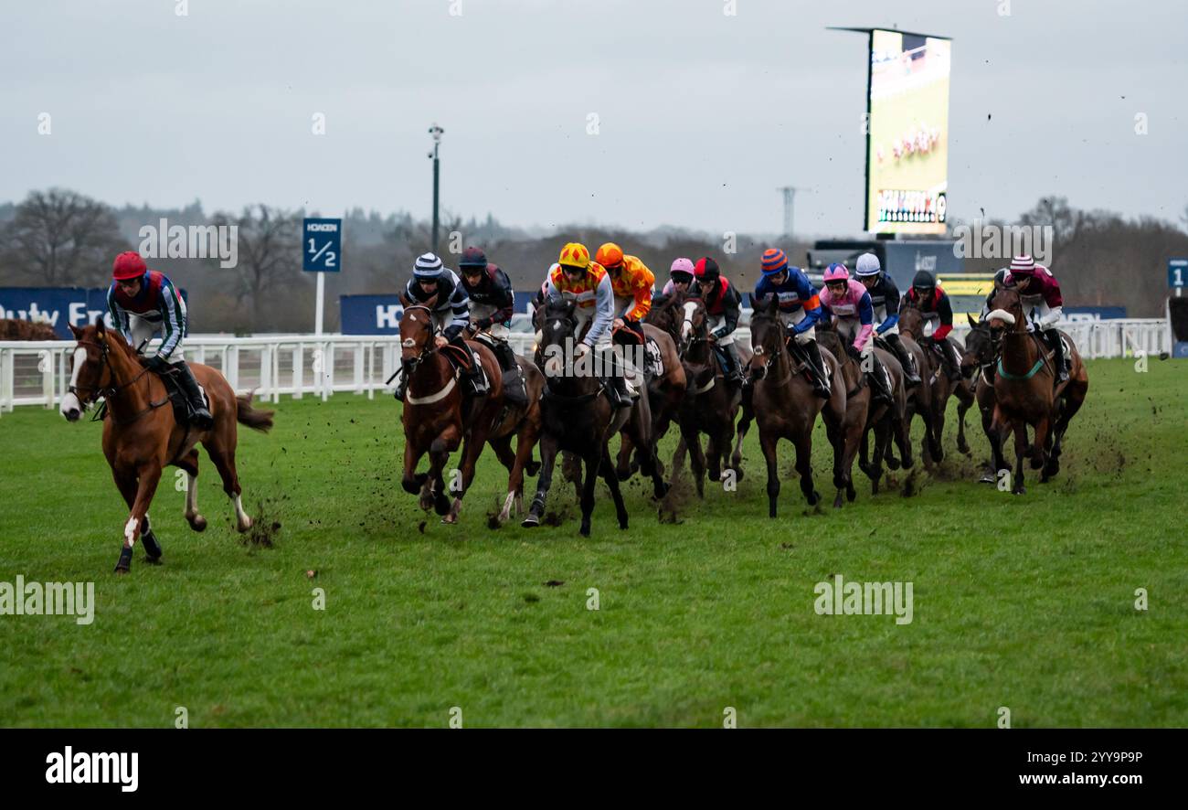 Free wind race horse hi-res stock photography and images - Alamy