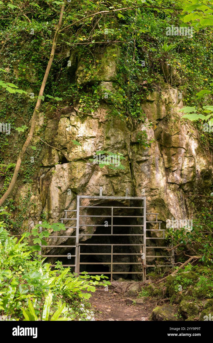 Metal grill preventing access to Cathole-rock cave to prevent vandalism ...