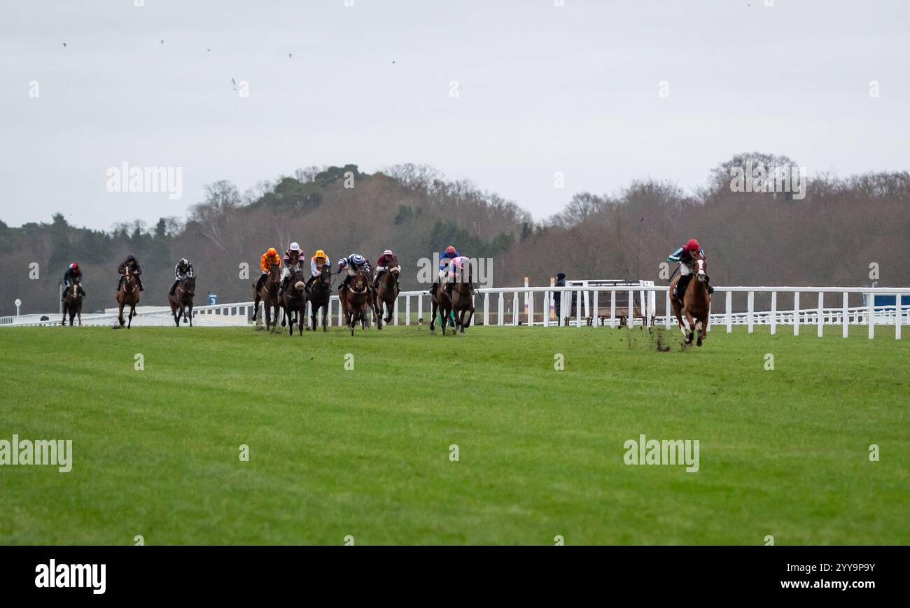 Free wind race horse hi-res stock photography and images - Alamy