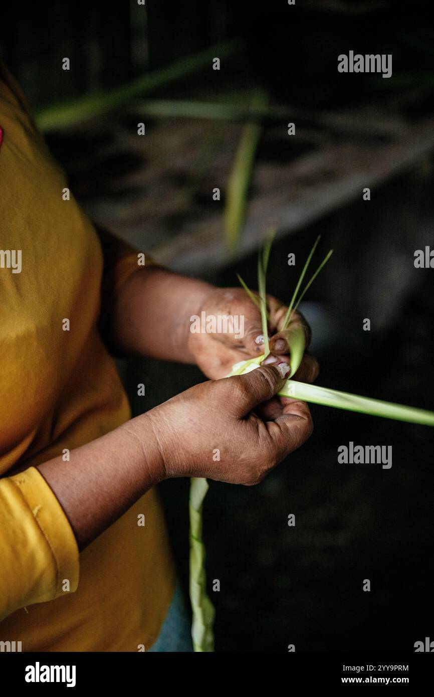 Guayusa Upina Ceremony, Sinchi Warmi, Amazonia, Napo Province, Ecuador ...