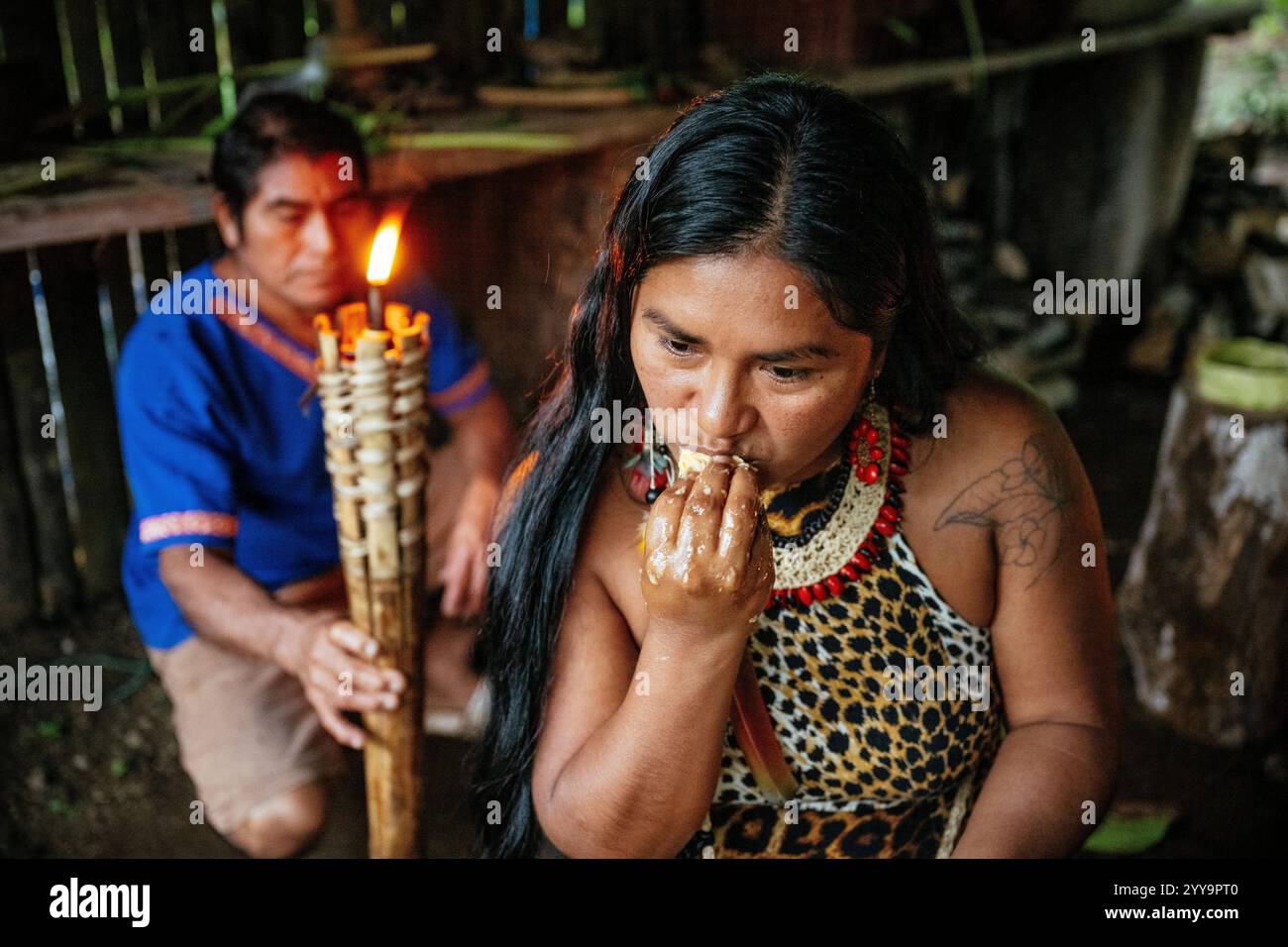 Guayusa Upina Ceremony, Sinchi Warmi, Amazonia, Napo Province, Ecuador ...
