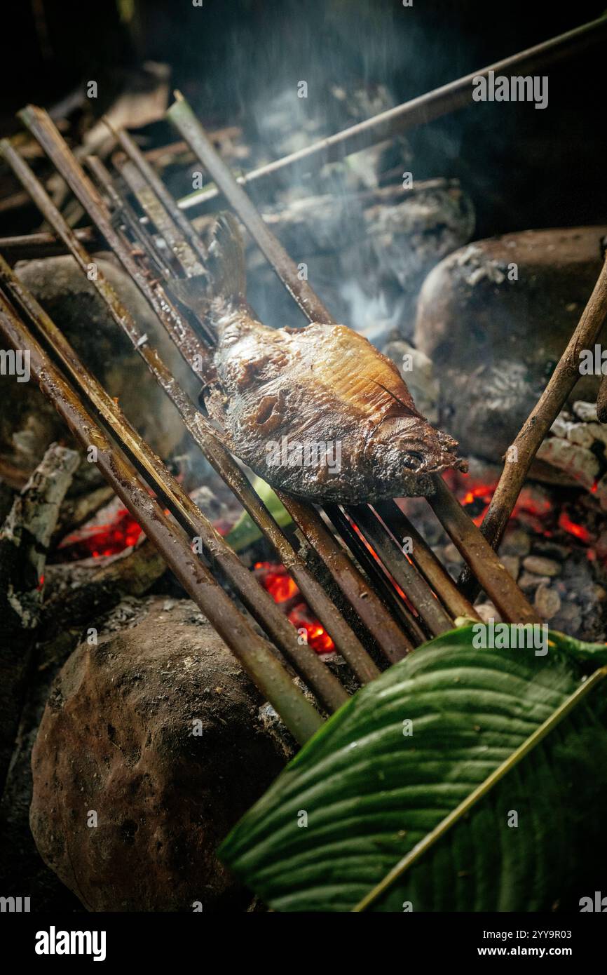 Guayusa Upina Ceremony, Sinchi Warmi, Amazonia, Napo Province, Ecuador ...