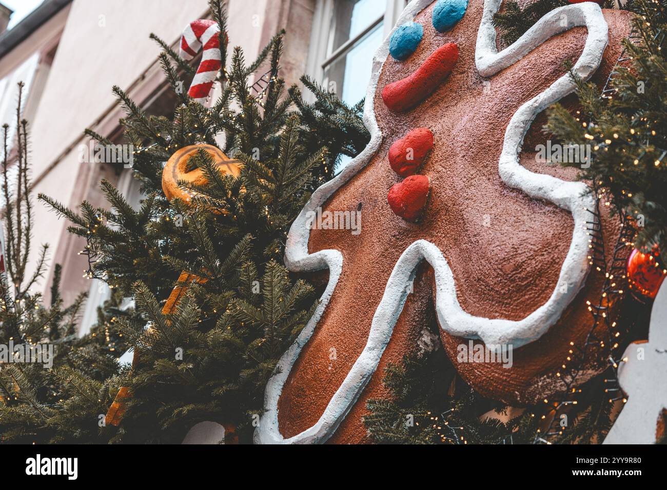 Gingerbread Christmas decoration on a tree with lights in Strasbourg ...