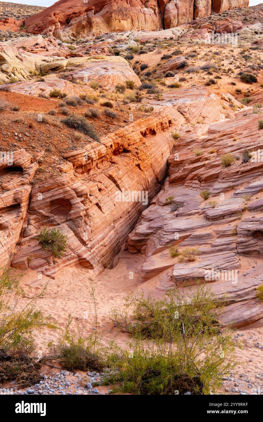 Photograph of Valley of Fire State Park along the trail to the Fire ...