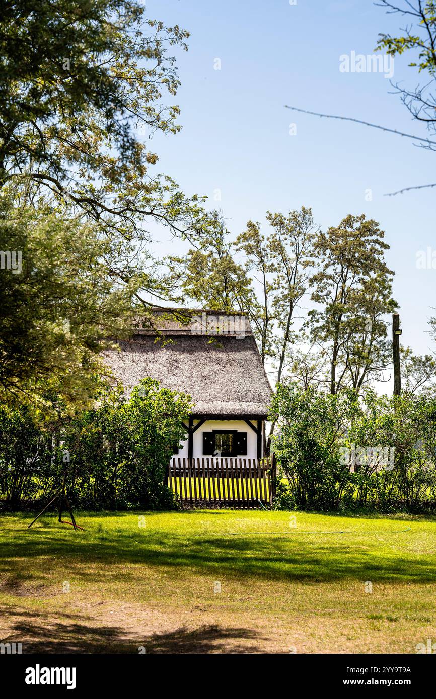 Hungary puszta bugac hi-res stock photography and images - Alamy