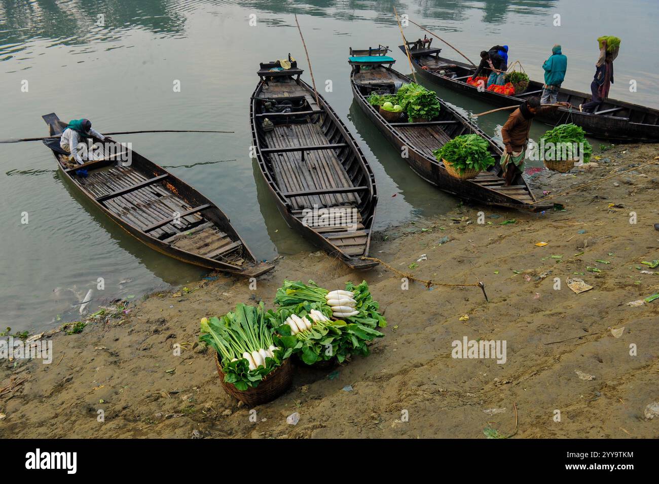 Sylhet, Bangladesh. 20th Dec, 2024. Local vegetable cultivators ...