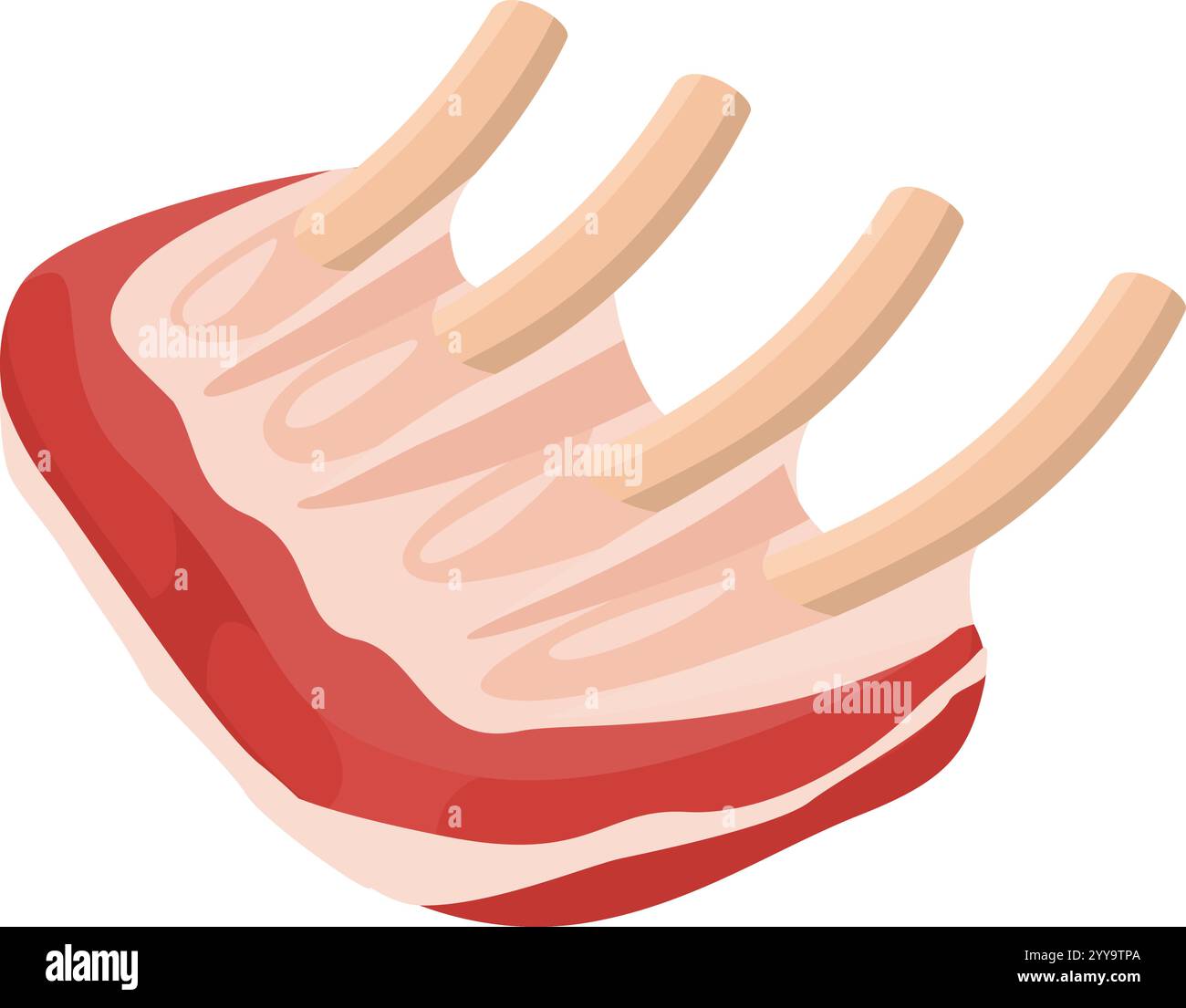 Rib experience Stock Vector Images - Alamy