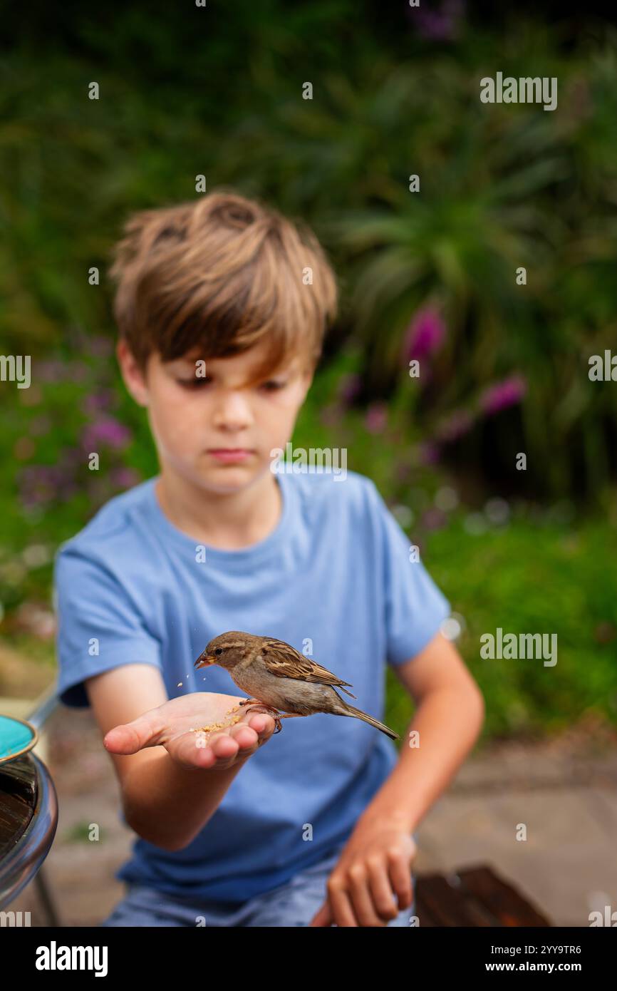 a boy with a bird in the hand Stock Photo - Alamy