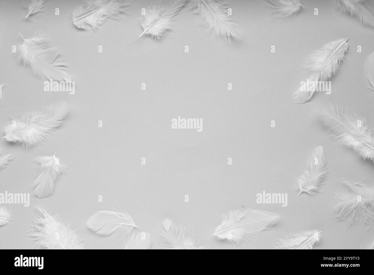 Frame of beautiful feathers on light grey background, flat lay. Space ...