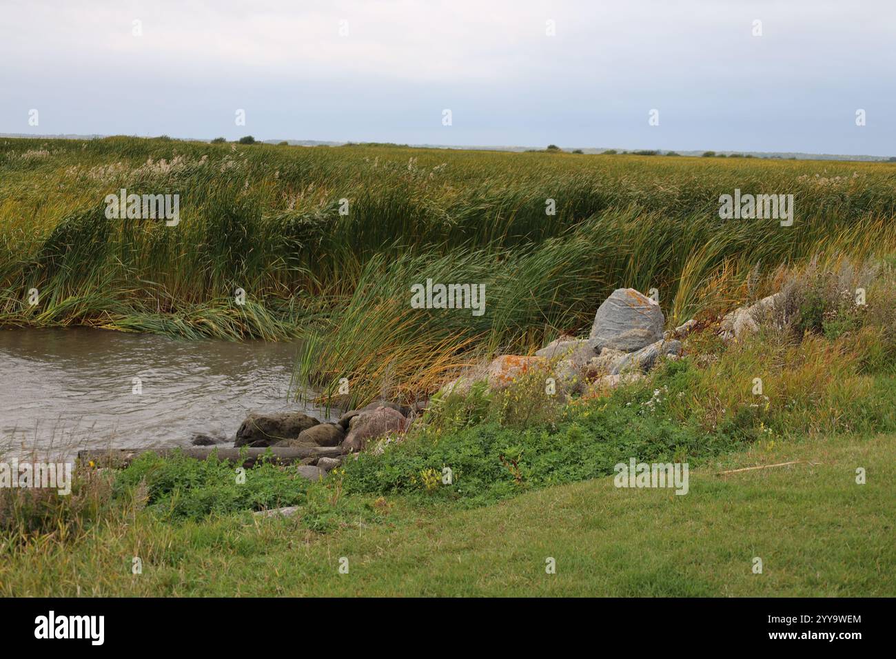 Gravel shore of the lake hi-res stock photography and images - Alamy