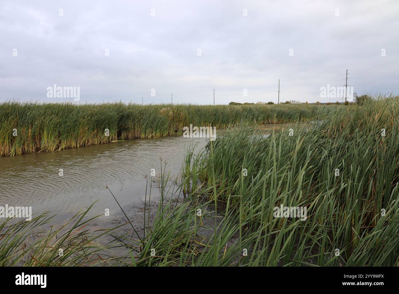 open water channels in prairie marshes Stock Photo - Alamy