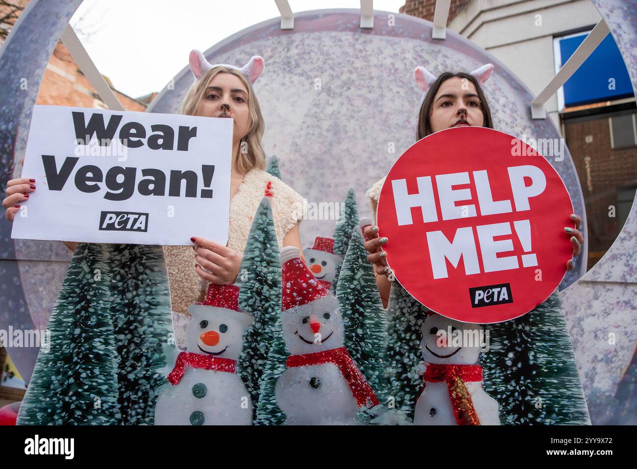Two activists dressed as sheep while holding placards stand in a snow ...