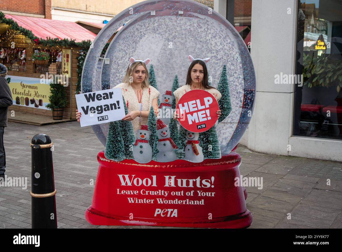 Two activists dressed as sheep while holding placards stand in a snow ...