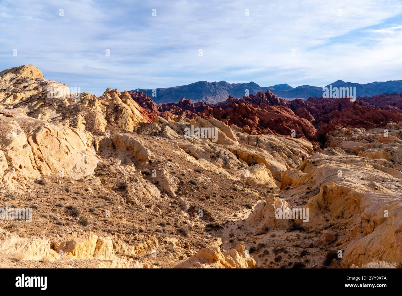 Photograph of Valley of Fire State Park at the Fire Canyon/Silica Dome ...