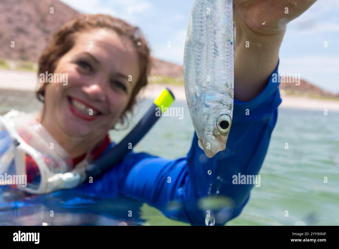 Captured fish. San Francisquito beach at San Francisco island, Sea of ...