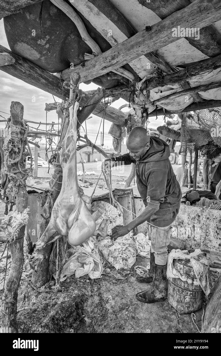 Mauritania, Atar, goat market, goat slaughter Stock Photo - Alamy