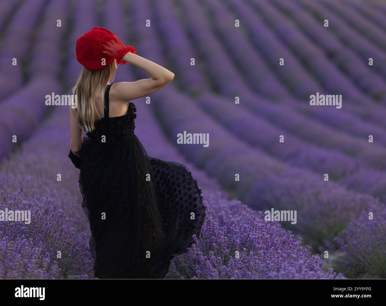 Beautiful girl is wearing fashion dress at field of lavender. Provence ...