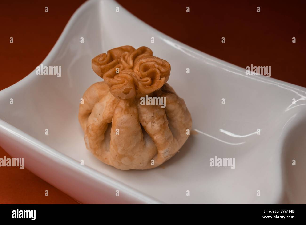 Single wonton dumpling placed on a white dish, chinese dumpling ...