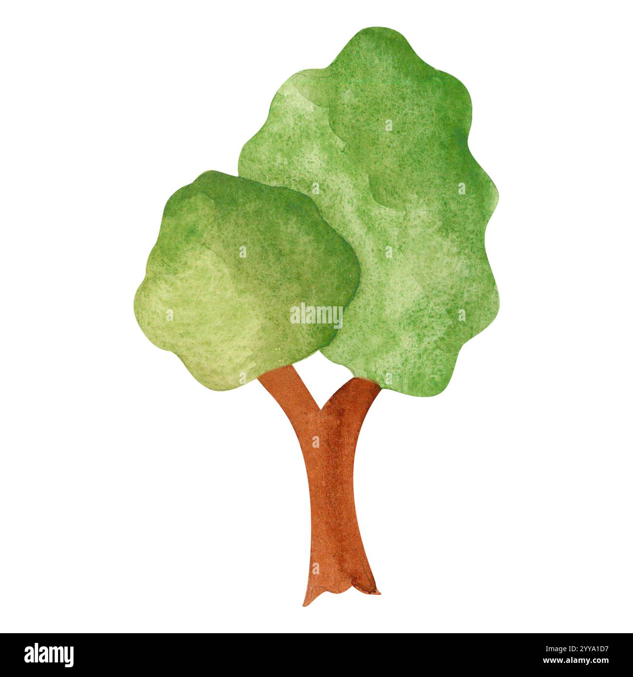 Simple green tree illustrated in watercolor with gentle shading. Great ...