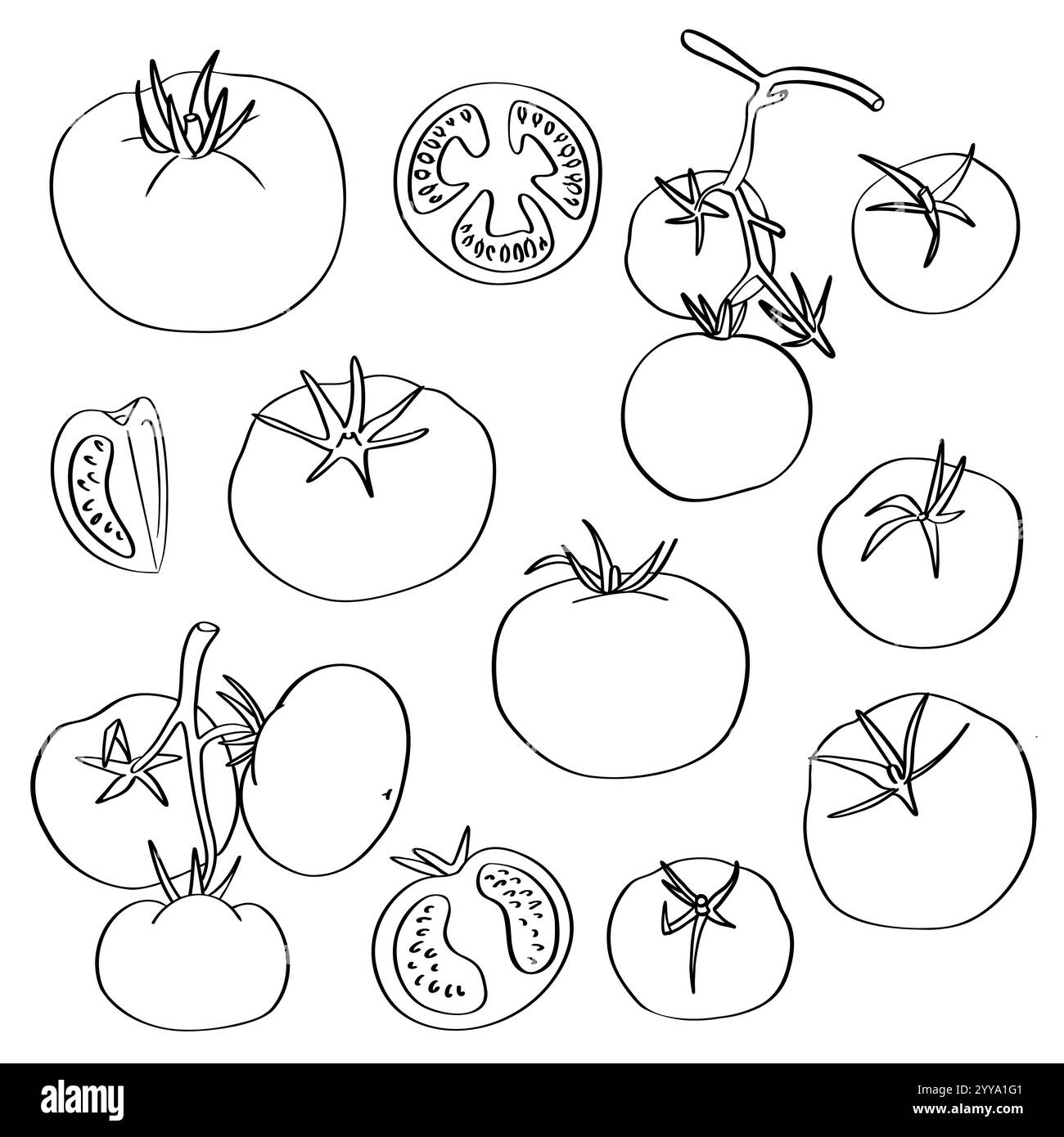 Set of tomato icons. Hand-drawn doodle contours Stock Vector Image ...