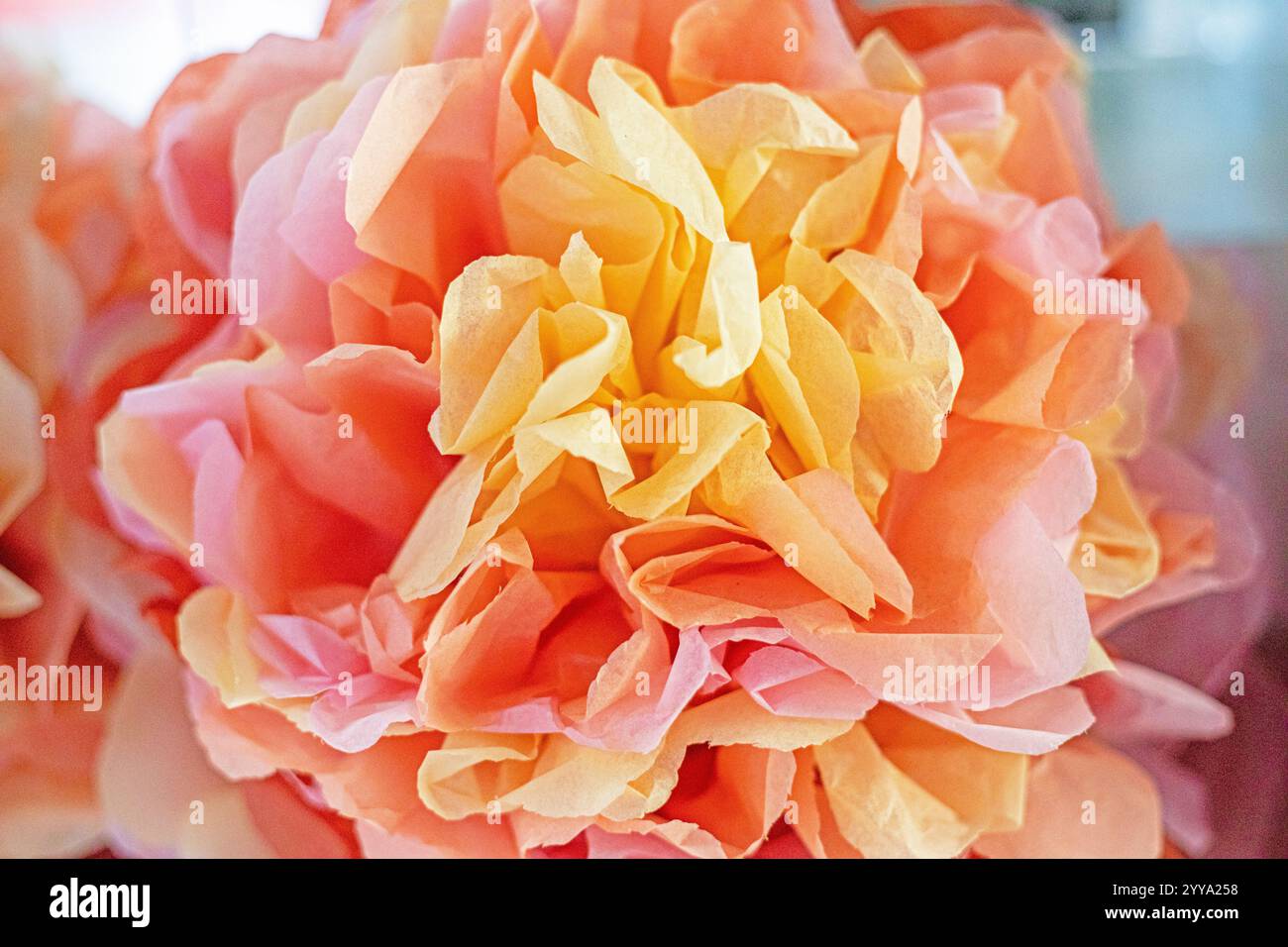 Thin paper flower hi-res stock photography and images - Alamy