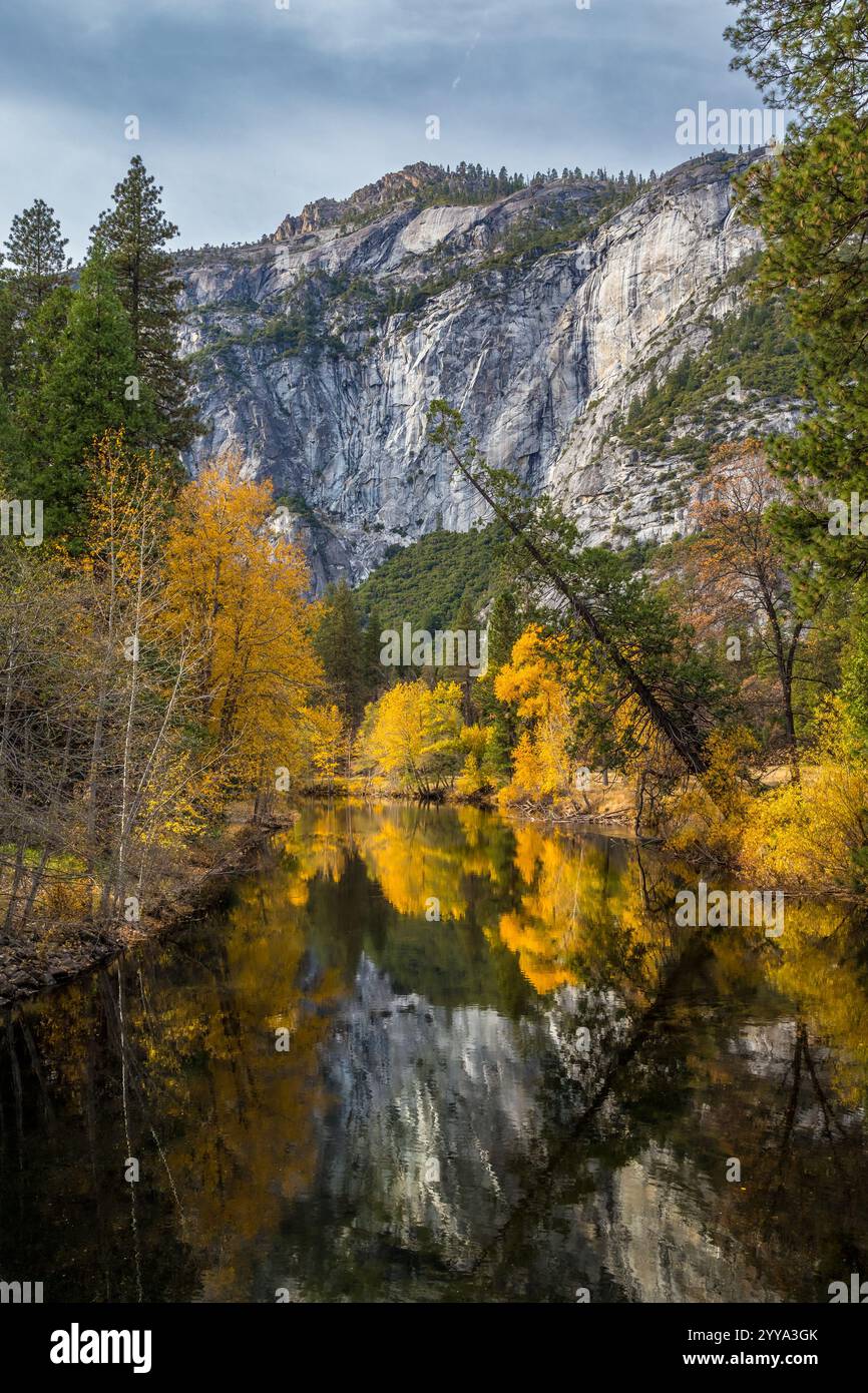 Autumn foliage creates a vibrant display along the river in Yosemite ...