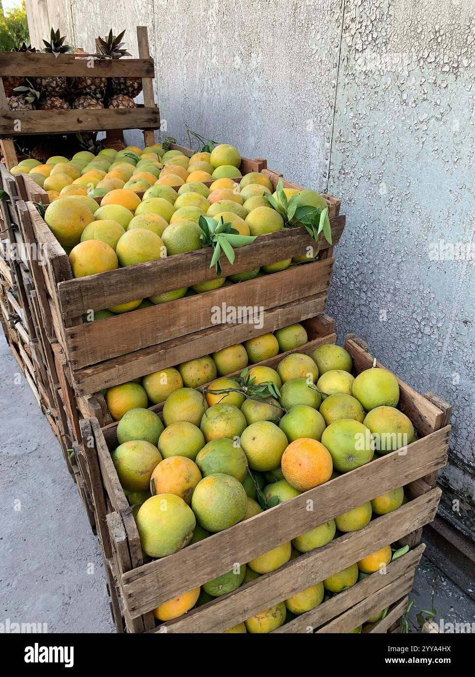 Stacks of fruit boxes hi-res stock photography and images - Alamy