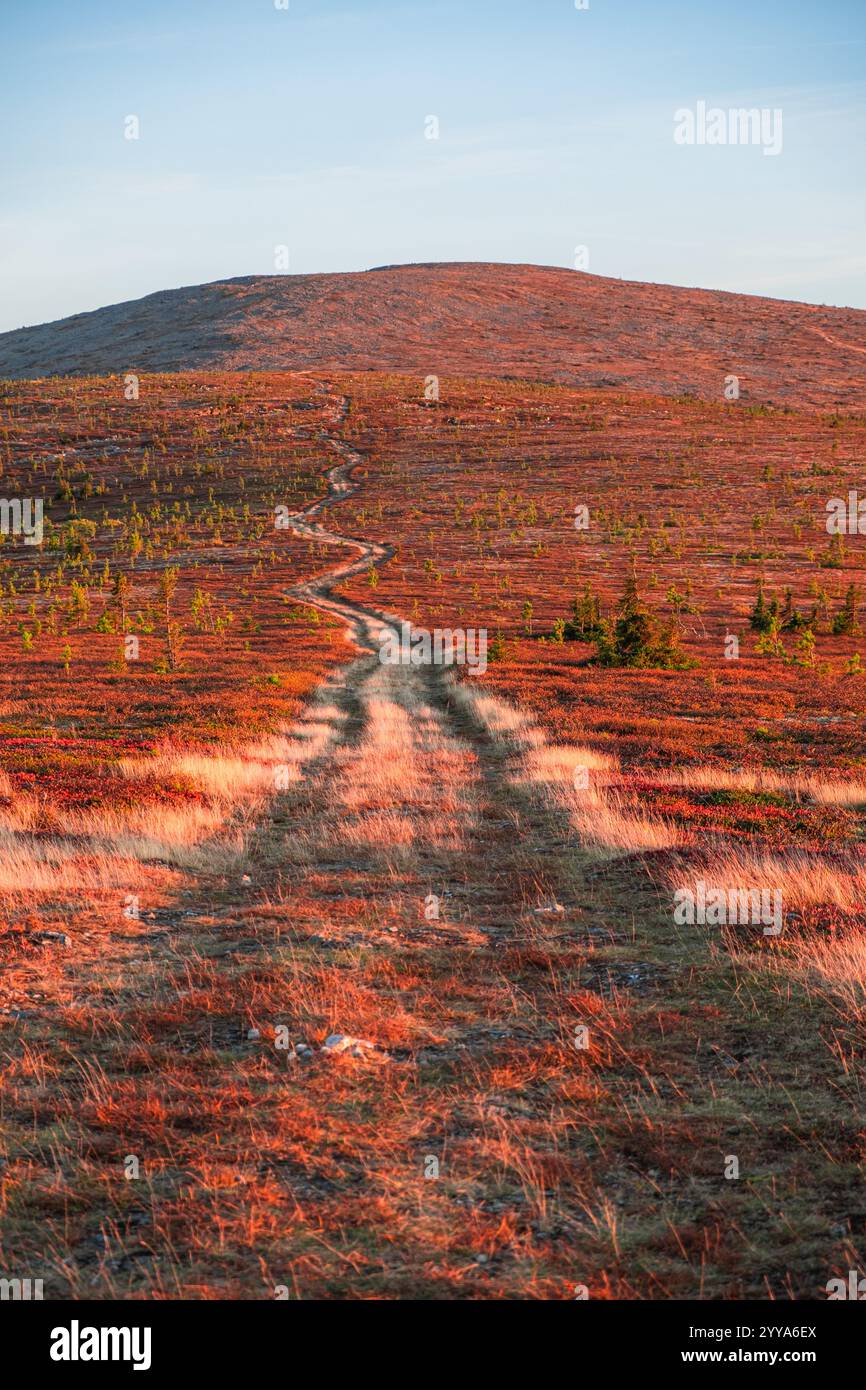 Winding dirt road stretches through a vibrant red tundra landscape ...