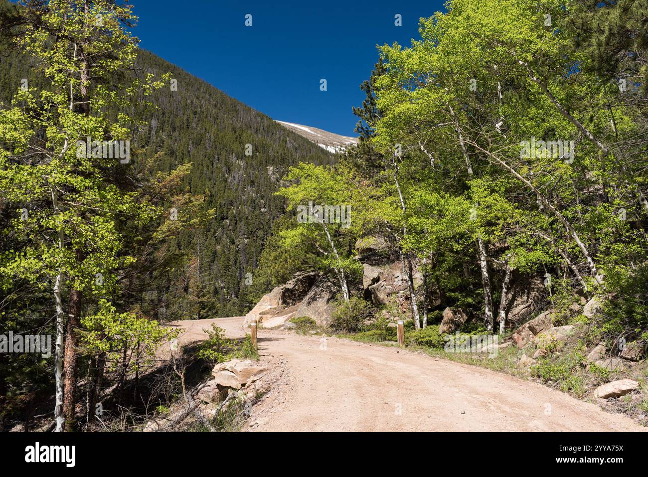 Historic Old Fall River Road is a scenic adventure into Rocky Mountain ...