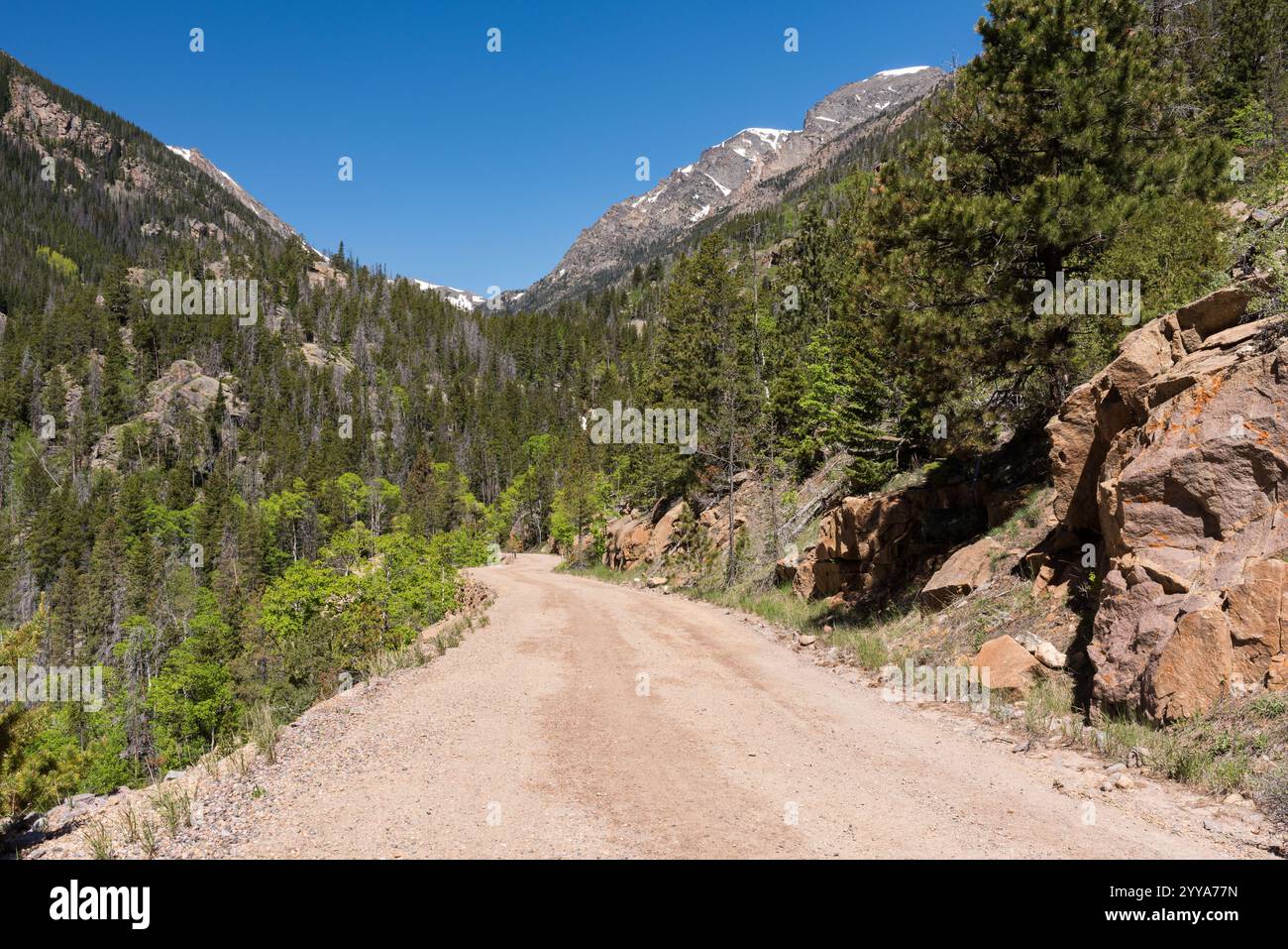 Eleven mile Old Fall River Road is a one-way dirt road with an ...