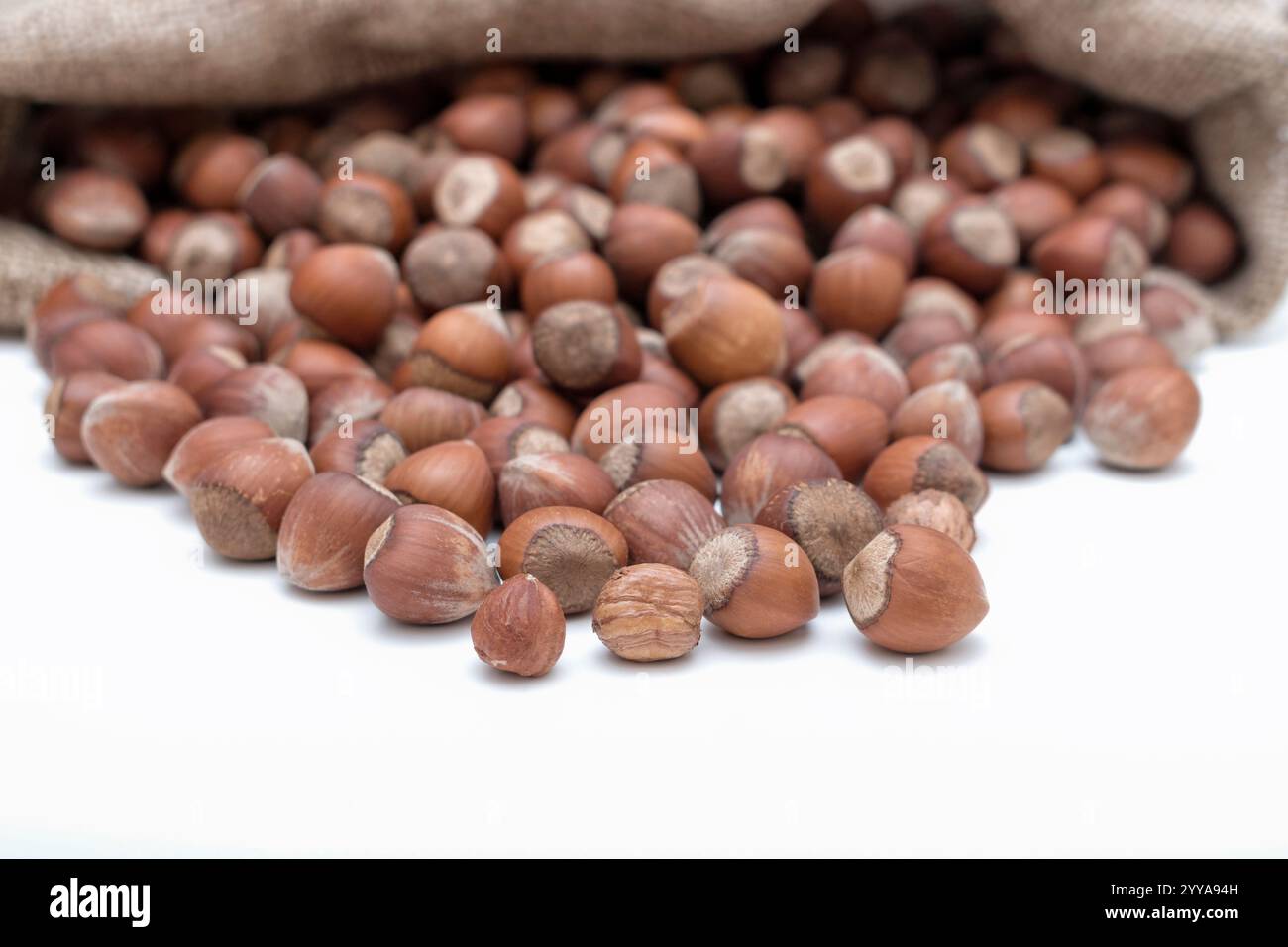 Ripe, dry hazelnuts in their shells. Hazelnuts in a bag on a white ...