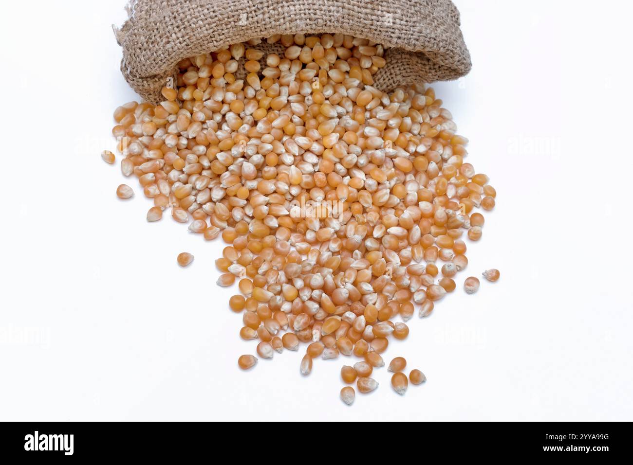 Dried corn seeds. Pile of dry corn seeds in sack Stock Photo - Alamy