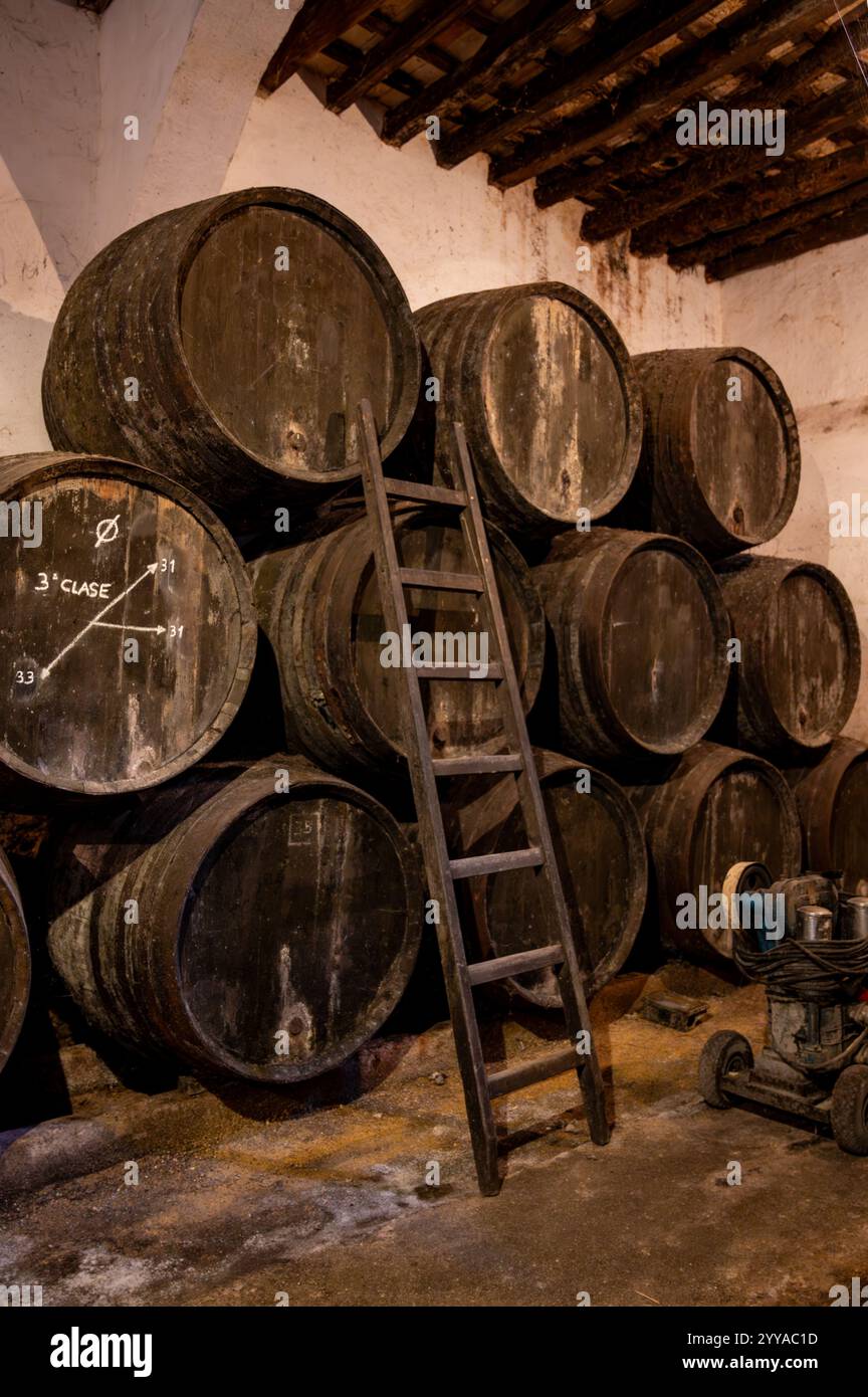 Solera systems in old Andalusian wine cellar, process for aging sherry ...