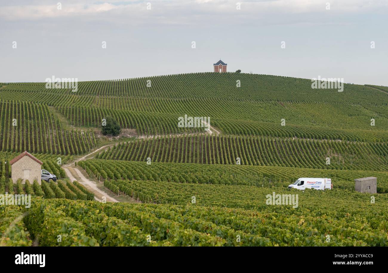 Landscape with grand cru vineyards near Cramant and Avize, region ...