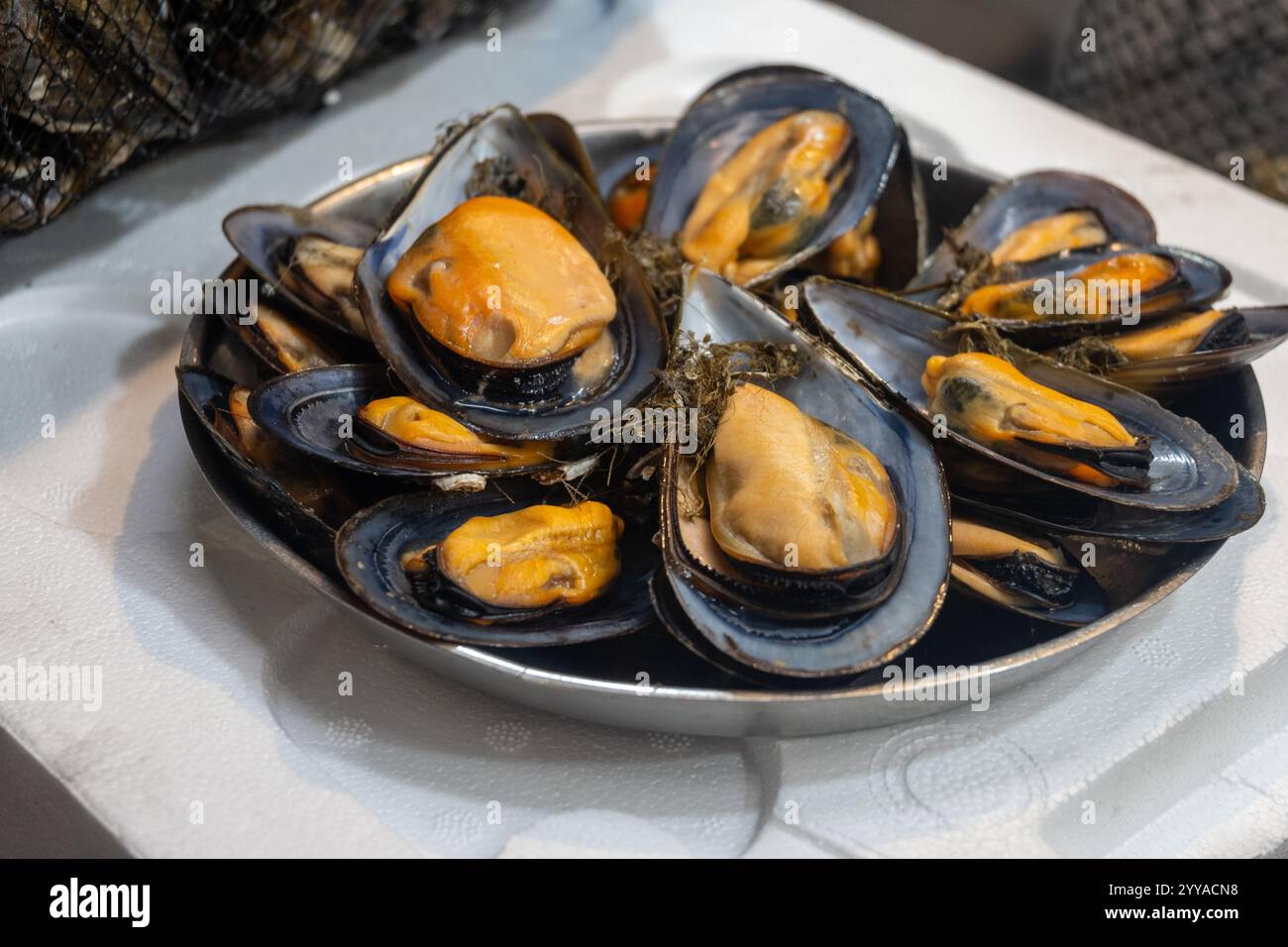 Large fresh live mussels freshly catched in Atlantic Ocean, at daily ...