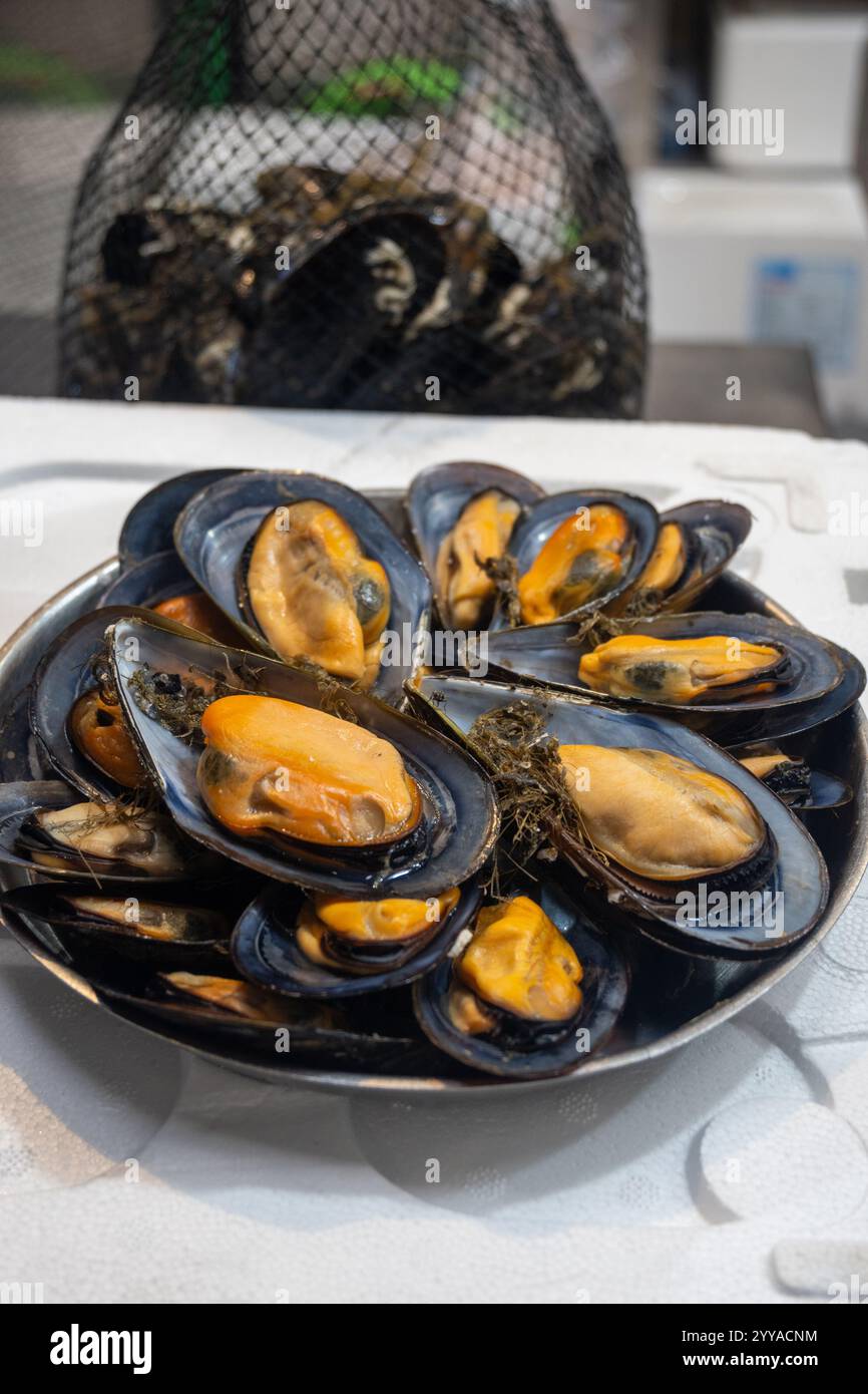 Large fresh live mussels freshly catched in Atlantic Ocean, at daily ...