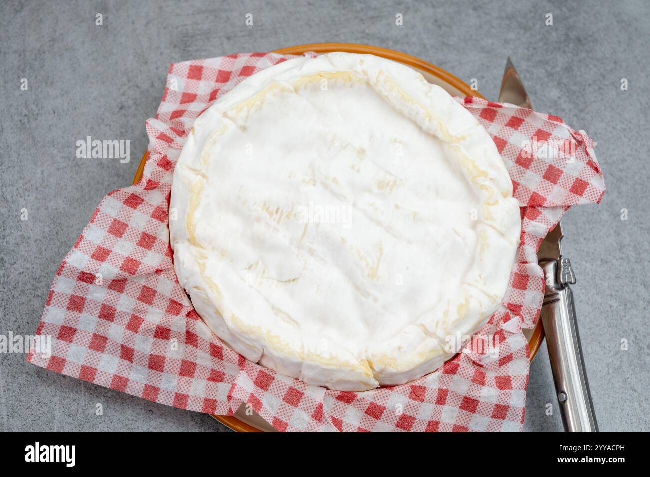 French soft Camembert cheese, original Camembert de Normandie, close up ...