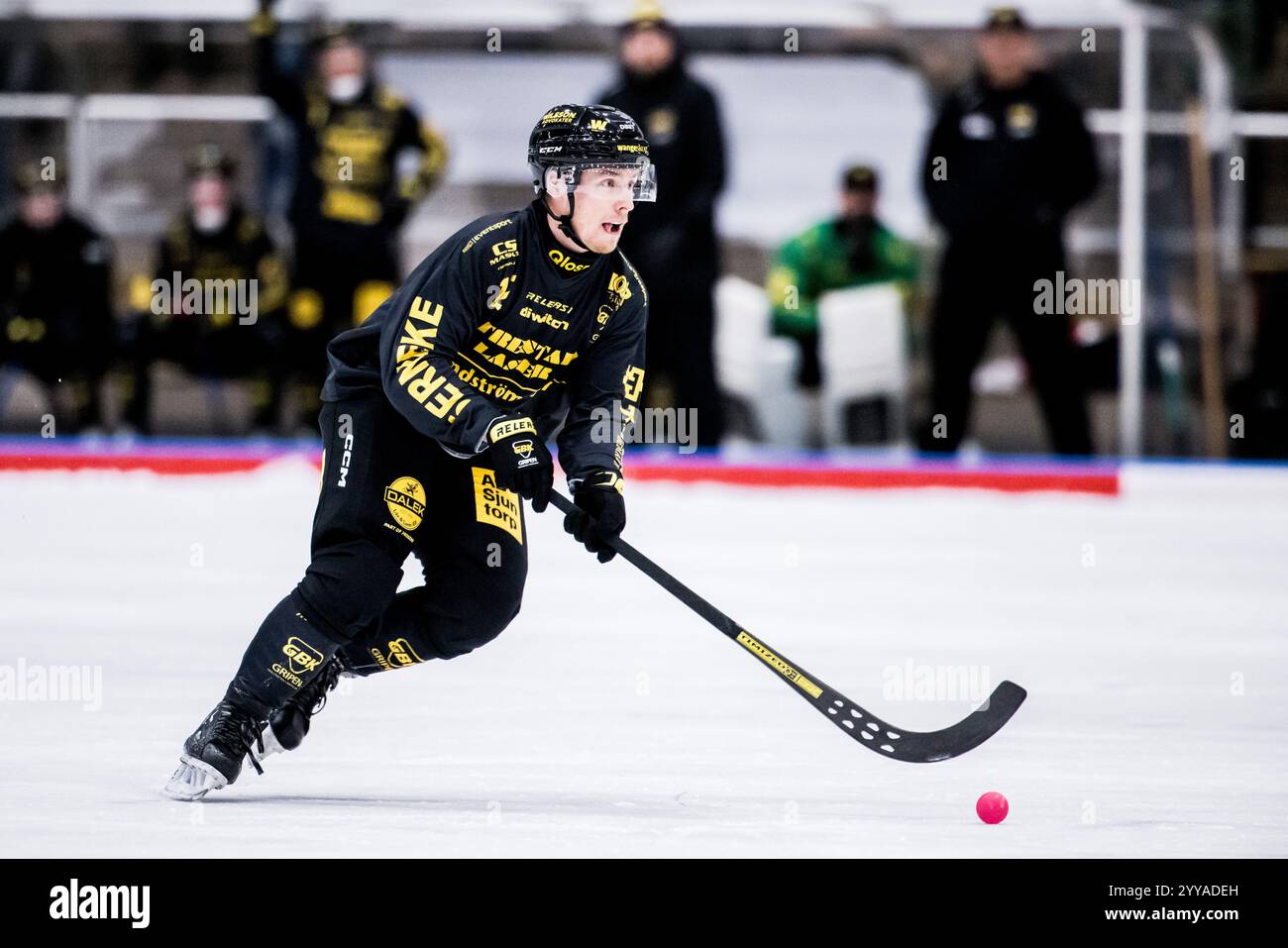 241220 Gripen Trollhättans Tim Persson under bandymatchen i Elitserien ...