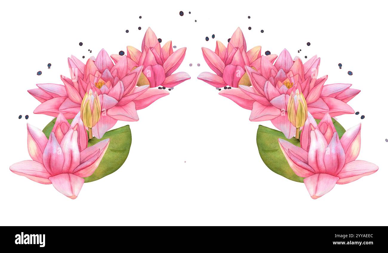Watercolor illustration of lotuses. Arch of pink water lily flowers ...