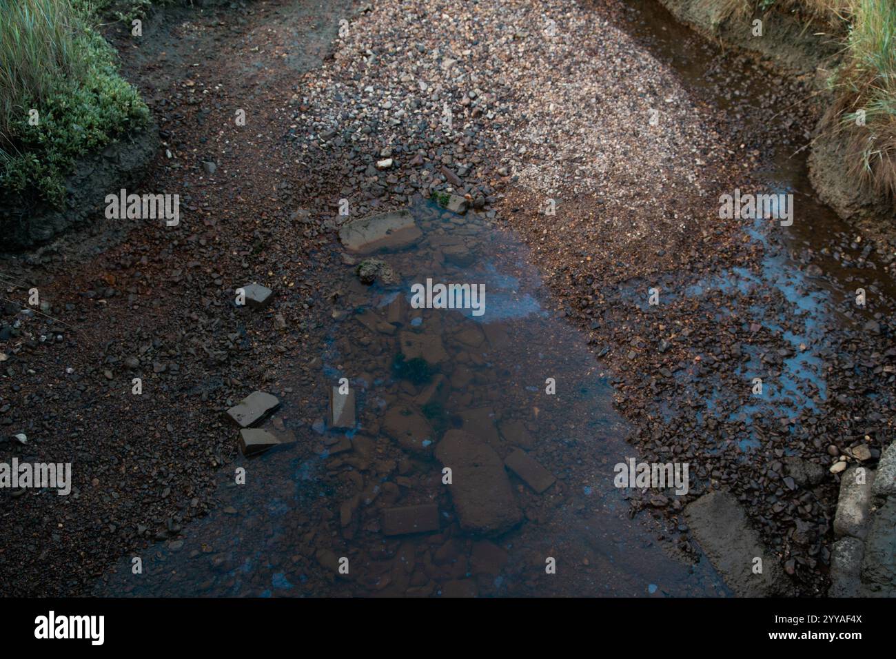 Oil Stains on Polluted River Surface Highlighting Environmental and ...