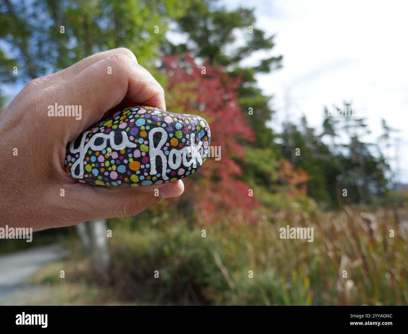 Hand holding you rock kindness rock with Autumn background Stock Photo ...