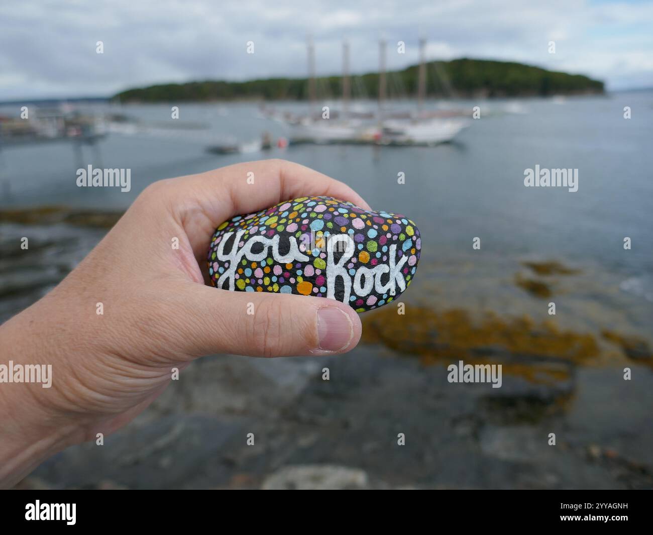 Kindness rock with you rock message held in front of defocused seascape ...