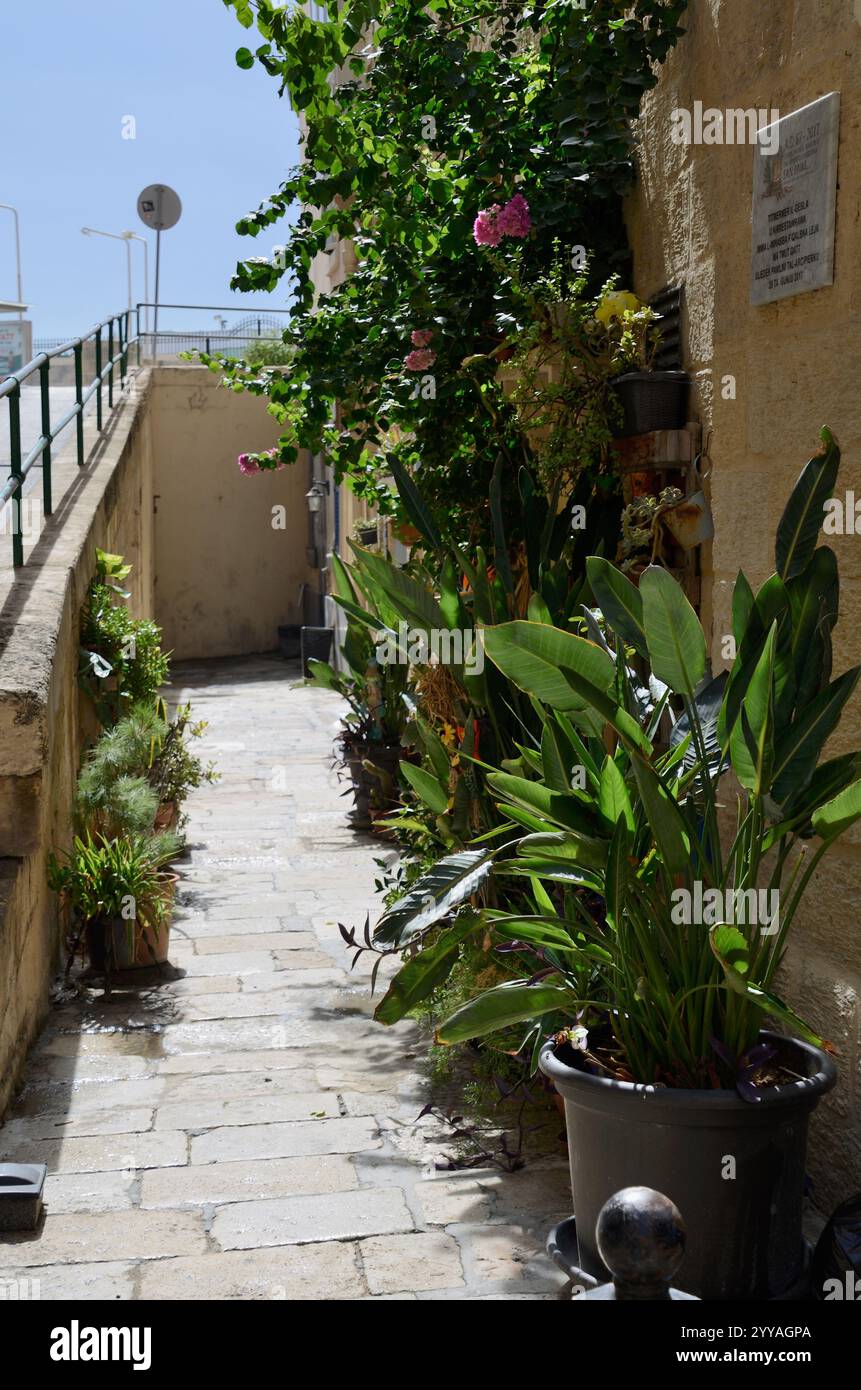 St. Nicholas Street, Valletta, Malta, Europe Stock Photo - Alamy