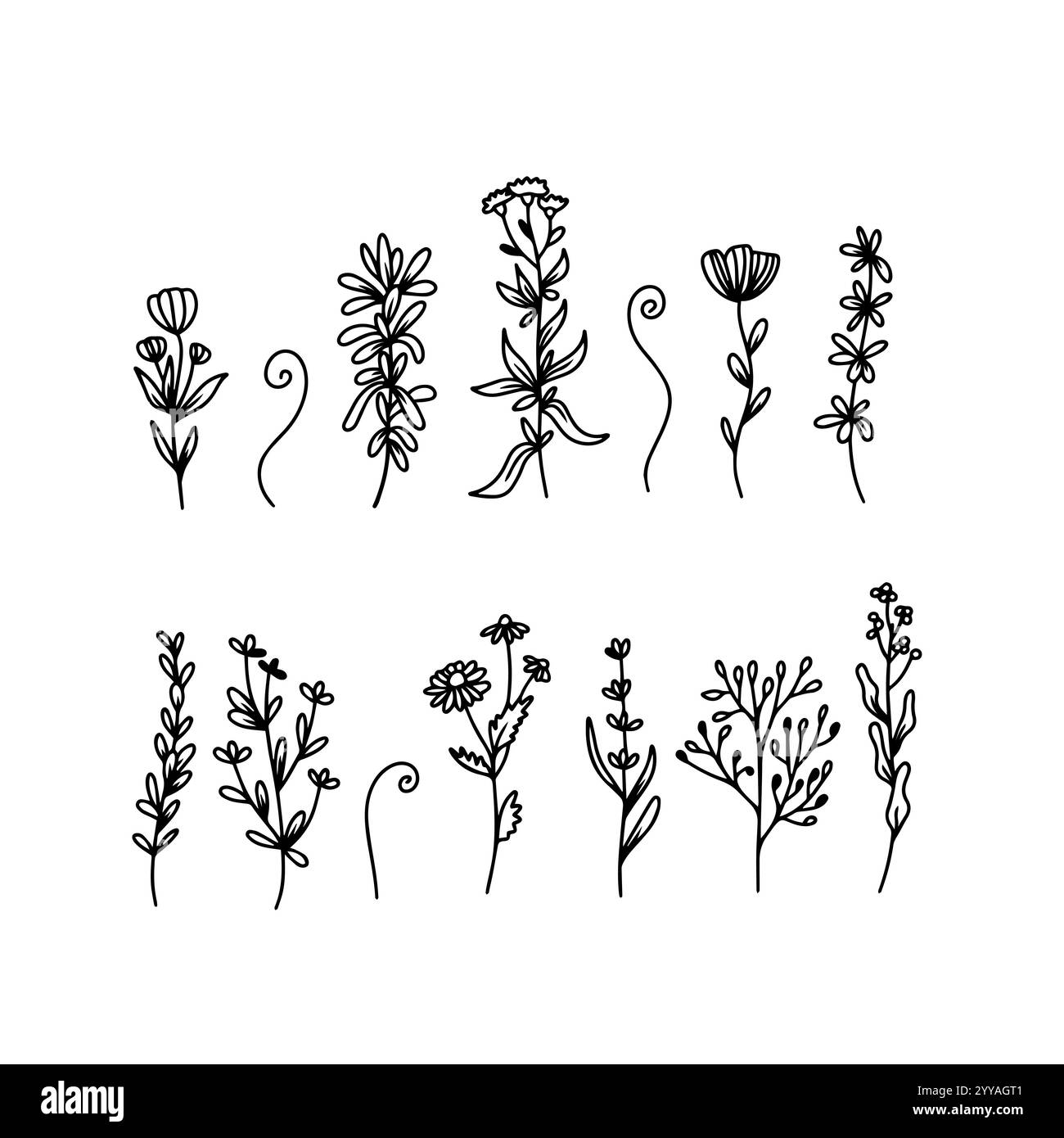 Set of line art wildflowers. Botanical floral illustrations set Stock ...